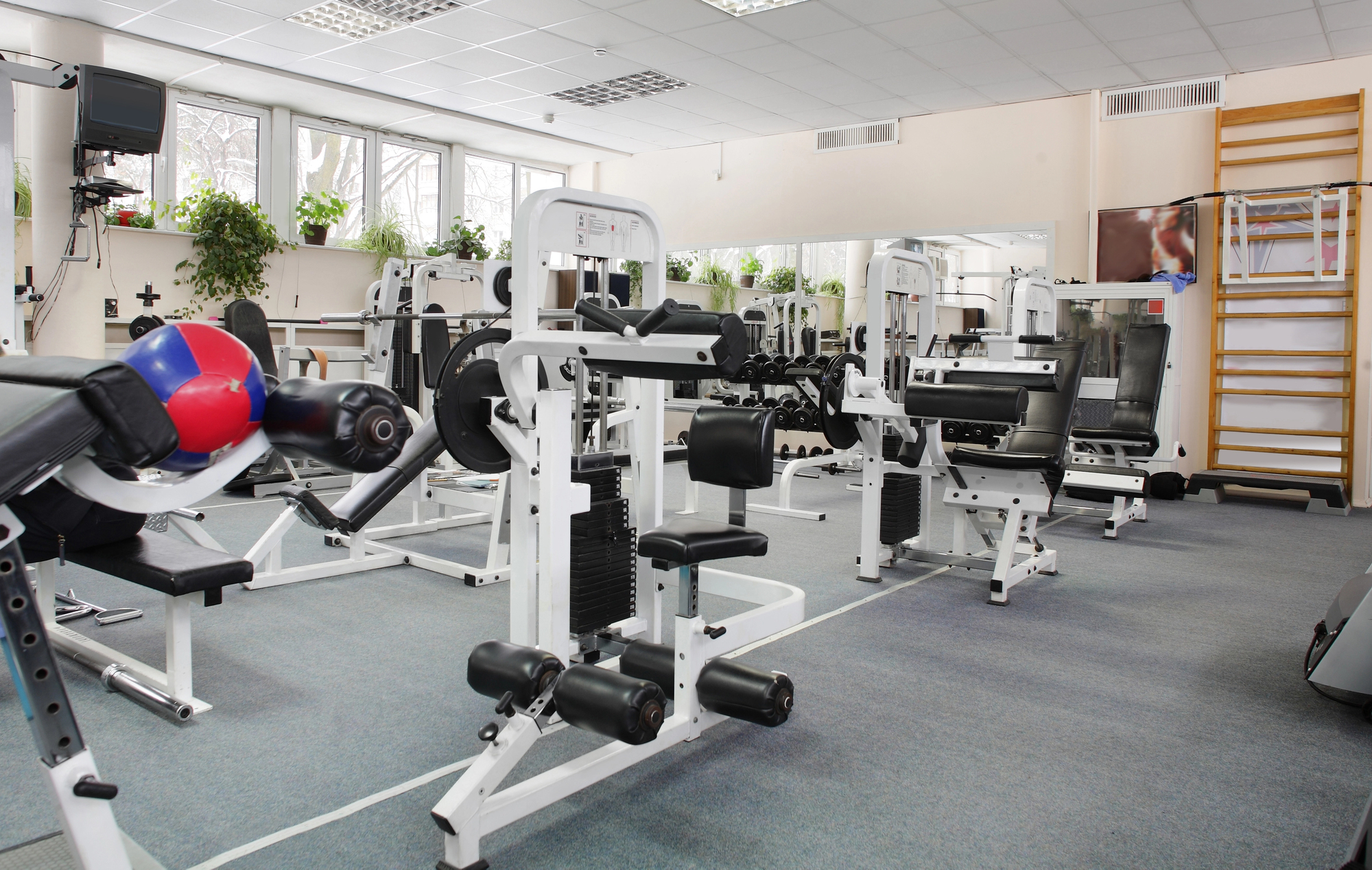 How To Elevate Your Commercial Gym And Fitness Center | My Garage Floor ...